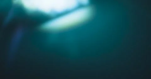 Transition Light. Elegant lens flare Lig... | Stock Video | Pond5