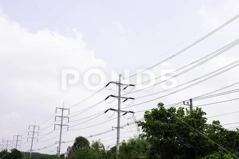Photograph: Transmission line of electricity to rural with green tree ...