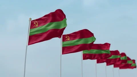 Transnistria Row Of Flags Animation | Stock Video | Pond5