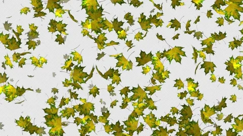 Leaves In A Whirlwind Stock Videos – Royalty-Free HD & 4K Videos