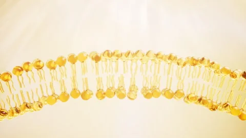Transparent membrane structure, 3d rende... | Stock Video | Pond5
