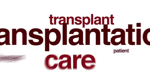 Transplantation animated word cloud. | Stock Video | Pond5