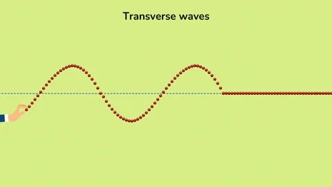 Transverse Waves, 2D animation video of ... | Stock Video | Pond5