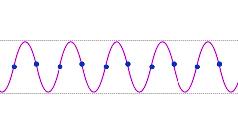 Transverse Wave Animation Travelling Waves