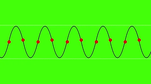 Transverse Wave Animation
