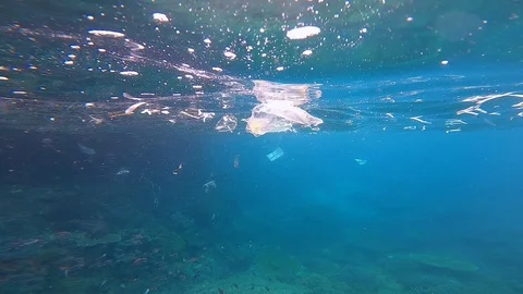 Plastic Utopia Stock Videos – Royalty-Free HD & 4K Videos