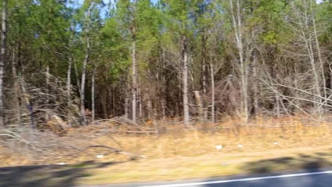 Waste Side Stock Videos – Royalty-Free HD & 4K Videos