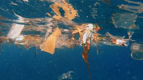 Trash litter in sea water, underwater sh... | Stock Video | Pond5