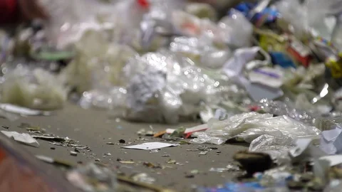 Trash Collection Workers Stock Videos – Royalty-Free HD & 4K Videos