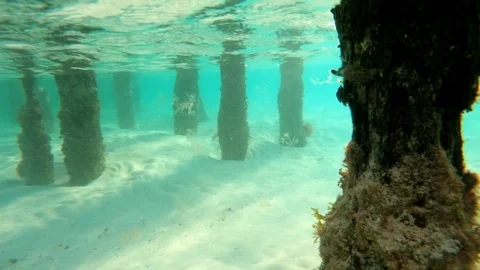 TRAVEL UNDER WATER BEHIND A DOCK ISLA MU... | Stock Video | Pond5