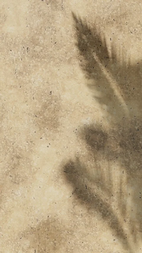 Wall Texture Overlay Stock Videos – Royalty-Free HD & 4K Videos