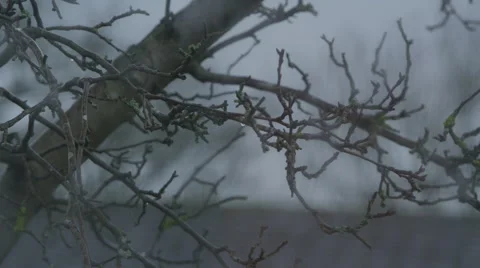 Rainy Window Stock Video Footage | Royalty Free Rainy Window Videos | Pond5