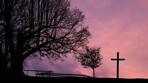 Tree Branches Cross Line Art: Nature, En... | Stock Video | Pond5