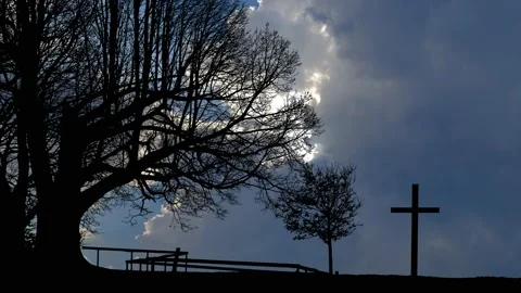 Tree Branches Cross Line Art: Nature, En... | Stock Video | Pond5