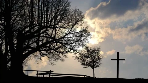 Tree Branches Cross Line Art: Nature, En... | Stock Video | Pond5