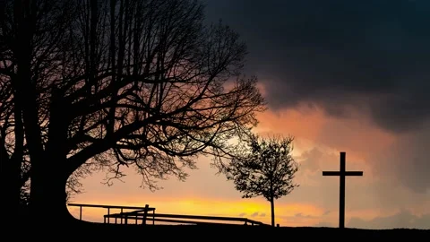 Tree Branches Cross Line Art: Nature, En... | Stock Video | Pond5