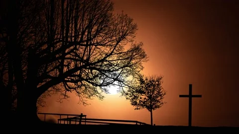 Tree Branches Cross Line Art: Nature, En... | Stock Video | Pond5