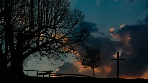 Tree Branches Cross Line Art: Nature, En... | Stock Video | Pond5
