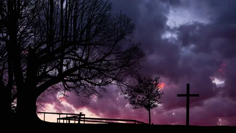 Tree Branches Cross Line Art: Nature, En... | Stock Video | Pond5