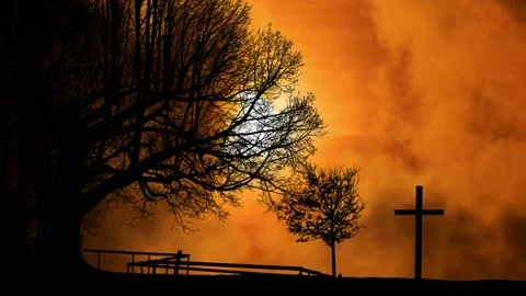 Tree Branches Cross Line Art: Nature, En... | Stock Video | Pond5