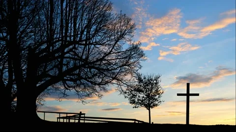 Tree Branches Cross Line Art: Nature, En... | Stock Video | Pond5