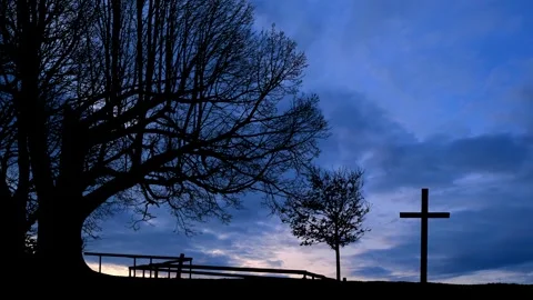 Tree Branches Cross Line Art: Nature, En... | Stock Video | Pond5