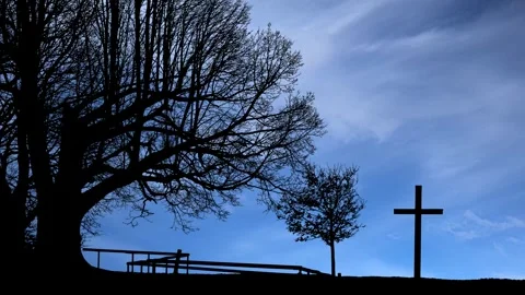 Tree Branches Cross Line Art: Nature, En... | Stock Video | Pond5