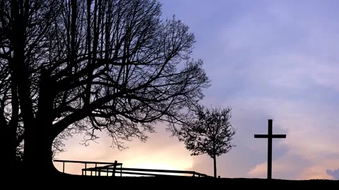 Tree Branches Cross Line Art: Nature, En... | Stock Video | Pond5