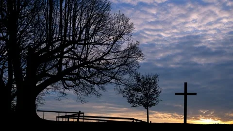 Tree Branches Cross Line Art: Nature, En... | Stock Video | Pond5