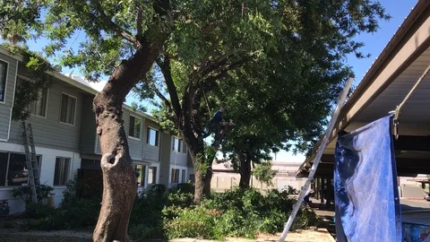 Service Img Stock Videos – Royalty-Free HD & 4K Videos | Pond5