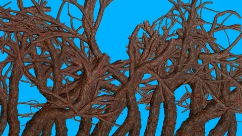 Tree branches, twigs, trunks, roots rece... | Stock Video | Pond5