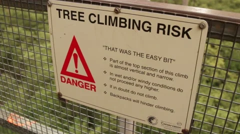 Tree climbing risk sign | Stock Video | Pond5