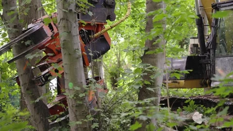 Tree cutting mechanical hand operated by... | Stock Video | Pond5