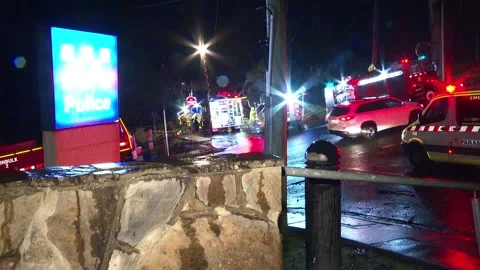 English Tree Tv Stock Videos – Royalty-Free HD & 4K Videos