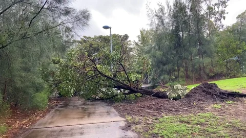 Pathway Of Storm Stock Videos – Royalty-Free HD & 4K Videos | Pond5