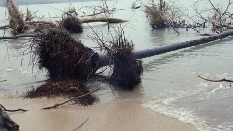 Tsunami Sound Stock Footage ~ Royalty Free Stock Videos | Pond5