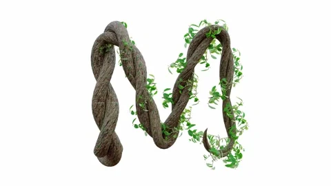 Tree grow or vine in the shape of the En... | Stock Video | Pond5