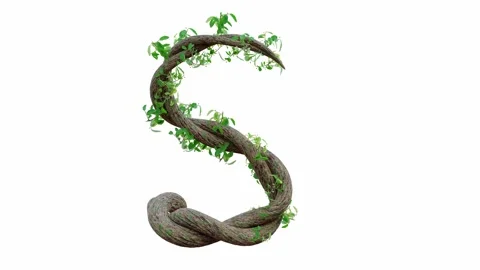 Tree grow or vine in the shape of the En... | Stock Video | Pond5