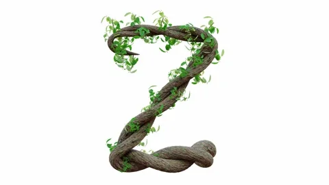 Tree grow or vine in the shape of the En... | Stock Video | Pond5
