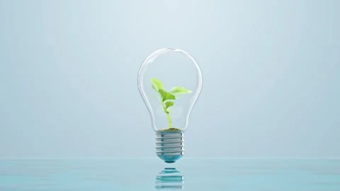 Tree growing Animation in light bulb on ... | Stock Video | Pond5