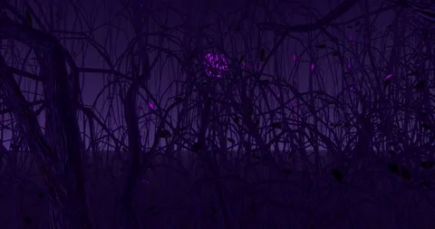 Tree growing animation sequence. | Stock Video | Pond5