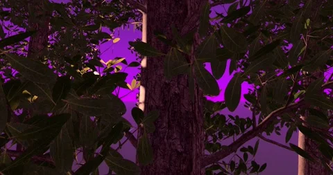 Tree growing animation sequence. | Stock Video | Pond5