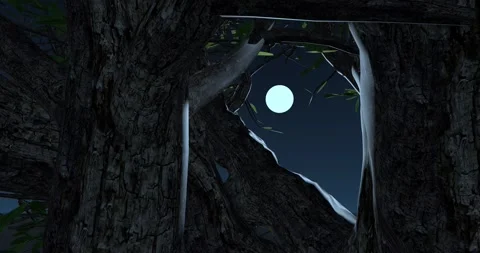 Tree growing animation sequence. | Stock Video | Pond5