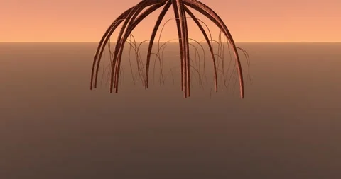 Tree growing animation sequence. | Stock Video | Pond5