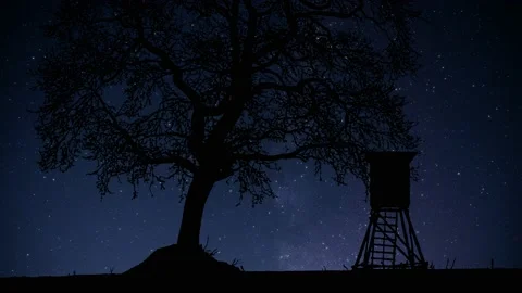 Tree High Stand Silhouette Field Hunting... | Stock Video | Pond5
