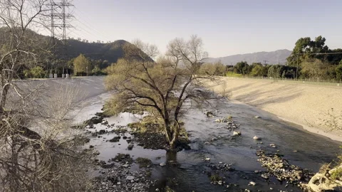 Afternoon Tree Stock Videos – Royalty-Free HD & 4K Videos | Pond5