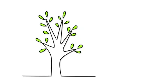 Outline Nature Stock Videos – Royalty-Free HD & 4K Videos