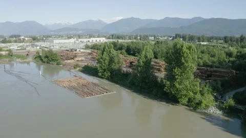 Logging Plant Stock Footage ~ Royalty Free Stock Videos | Pond5