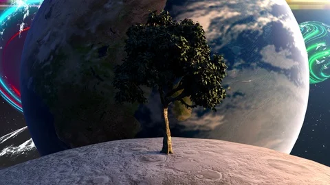 Tree on the moon in front of the Earth p... | Stock Video | Pond5