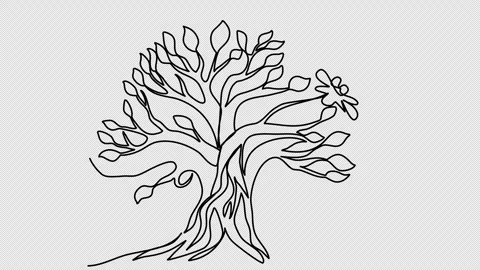 Tree one line drawing animation. Video c... | Stock Video | Pond5